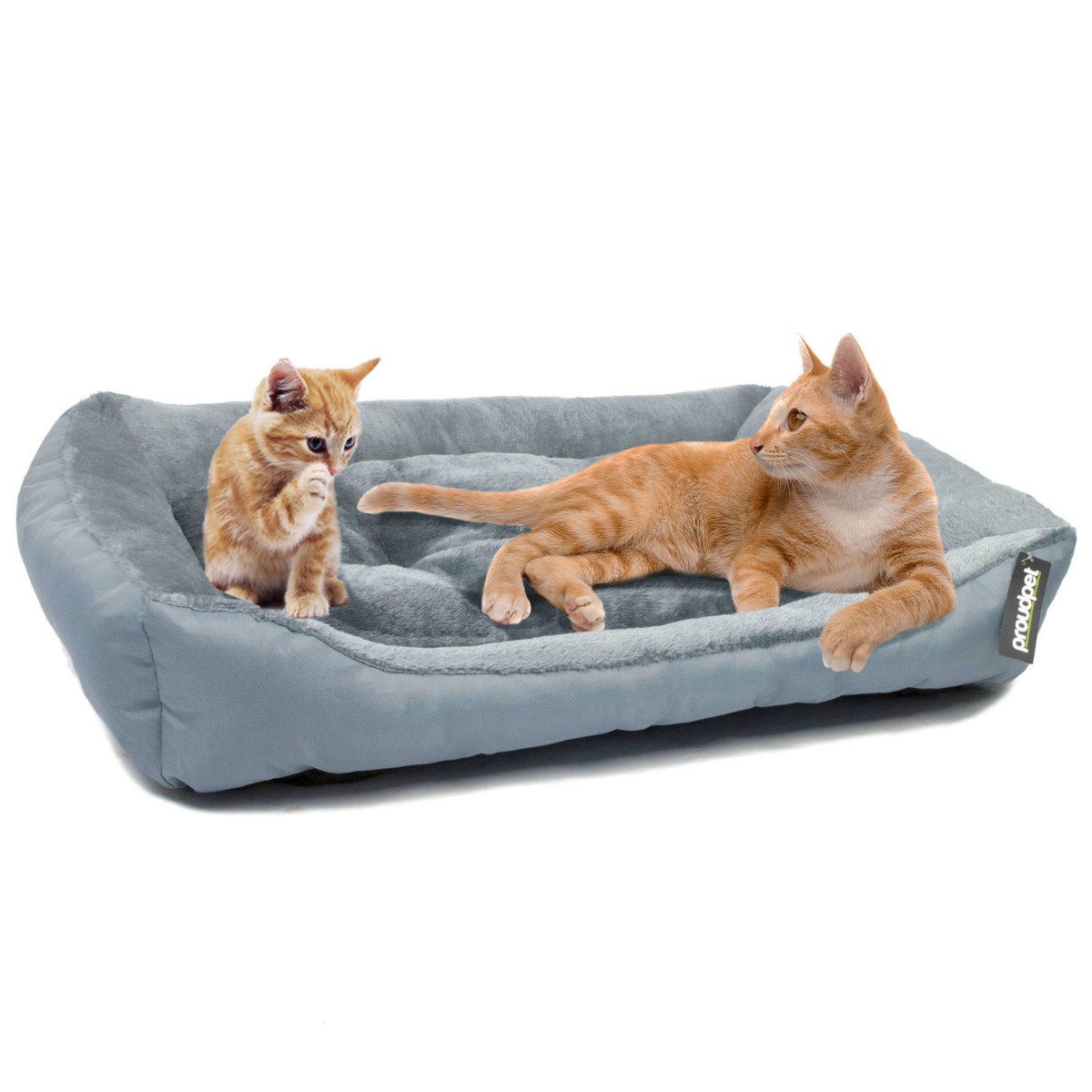 Pet Beds