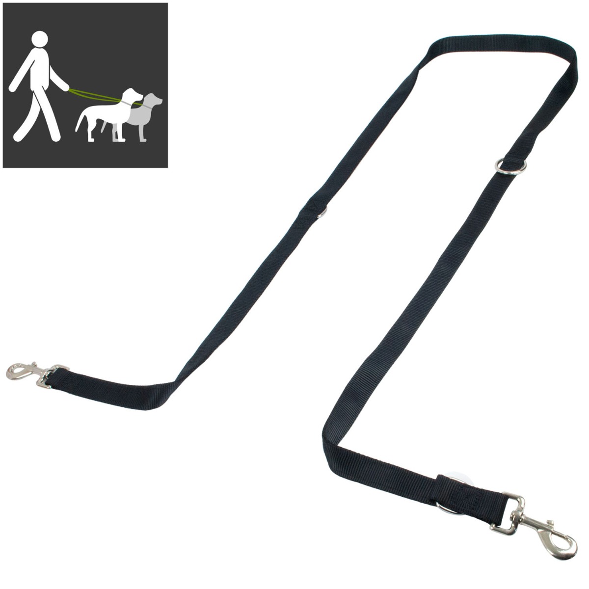 Dog Leads